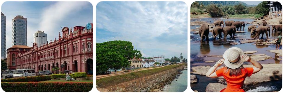 Colombo Bandaranaike Layover Guide (CMB): Things to Do, Tours, Airport ...