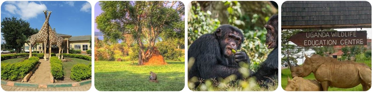 Entebbe Layover Guide (EBB): Things to Do, Tours, Airport Guide